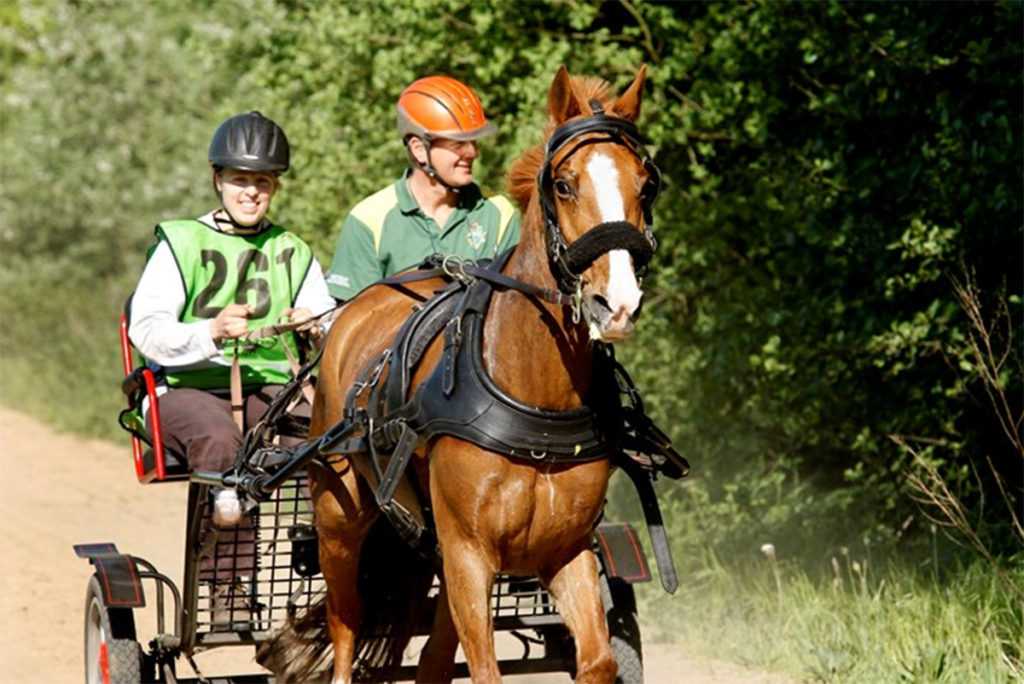 Over de sport - Eerste Geldropse Menclub